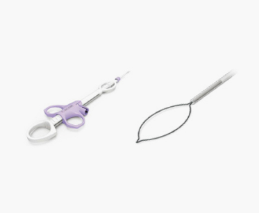 Endoscopic | INCORE Co., Ltd